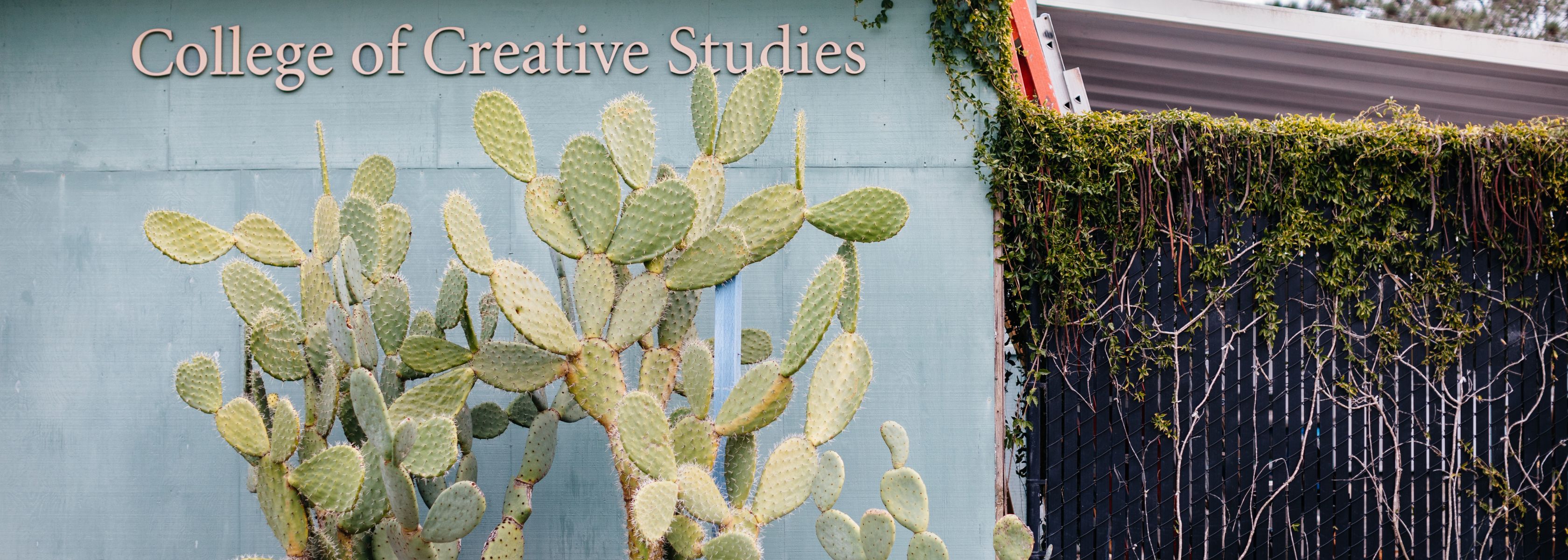 Transfer Student Academic Advising | Transfer Student Center